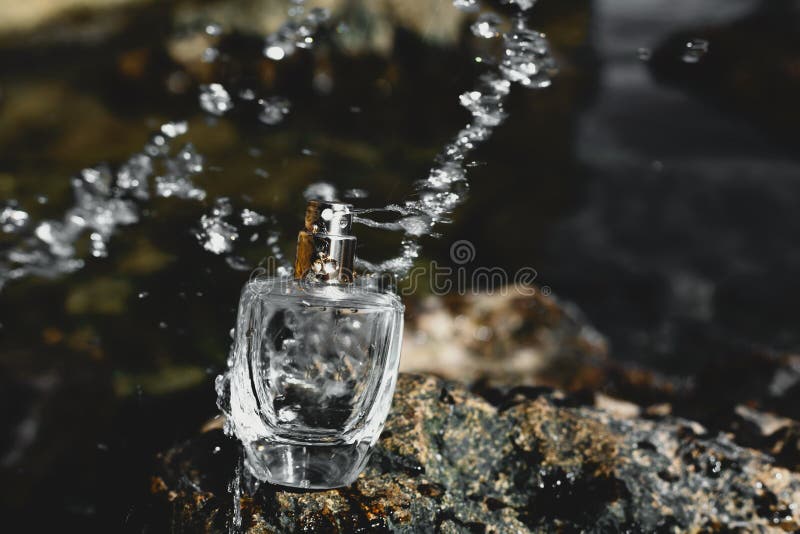 Perfume with Water Drops at Sea Bacground Stock Image - Image of design ...
