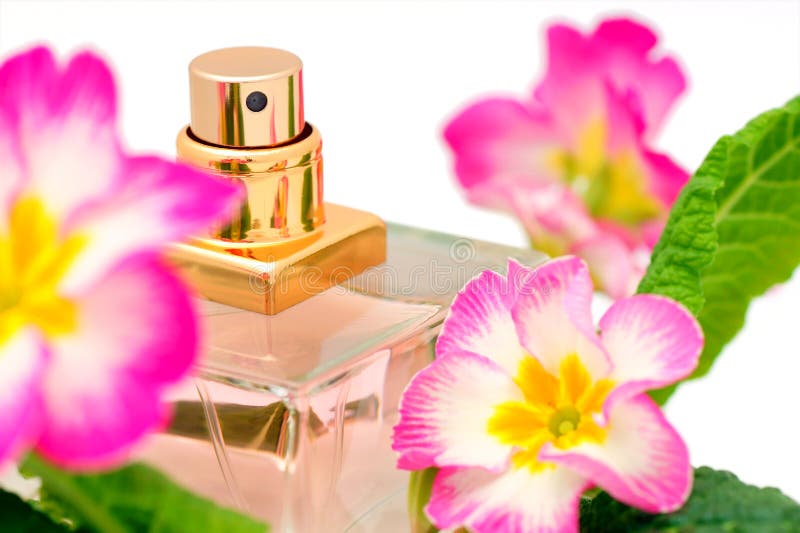 Perfume y flores imagen de archivo. Imagen de rosa, elegancia - 68255083