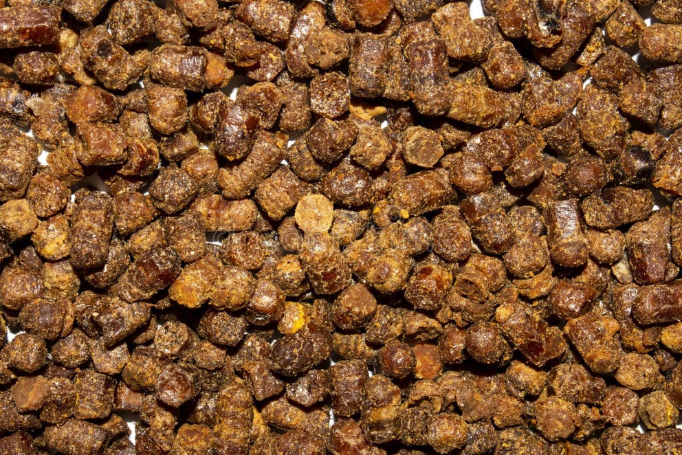 Perga.Bee Bread.Bee Pollen is Compacted.Pollen Collected by Bee ...