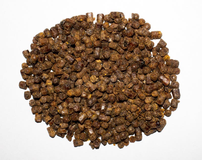 Perga.Bee Bread.Bee Pollen is Compacted.Pollen Collected by Bee ...