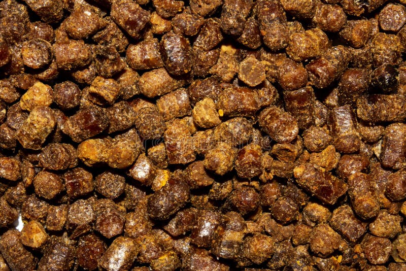 Perga.Bee Bread.Bee Pollen is Compacted.Pollen Collected by Bee ...