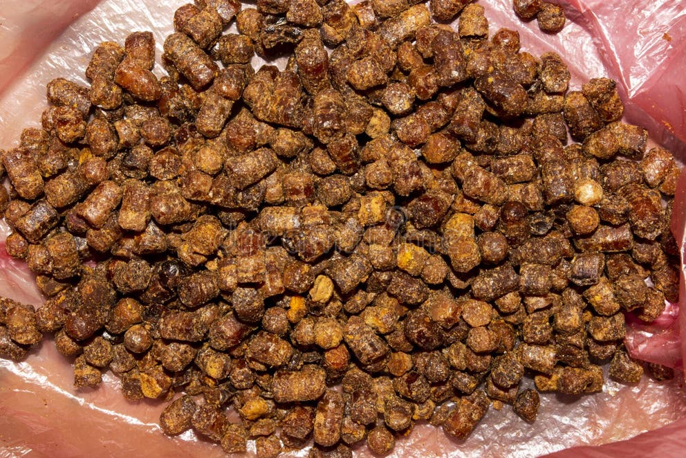 Perga.Bee Bread.Bee Pollen is Compacted.Pollen Collected by Bee ...
