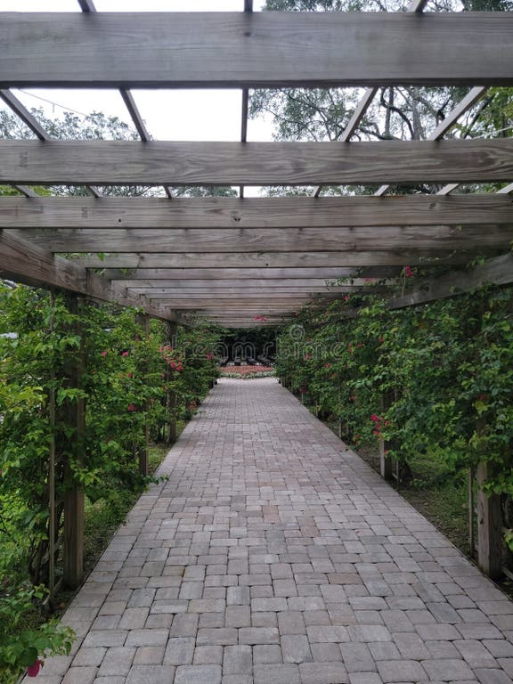 Pergola covered Brick Path stock photo. Image of landscape - 385500668