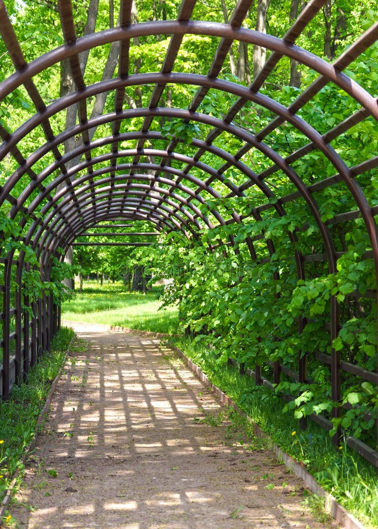 670 Serene Pathway Archway Landscape Lush Greenery Stock Photos - Free ...