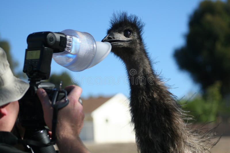 Perigo do perigo do perigo foto de stock. Imagem de curioso - 1574128