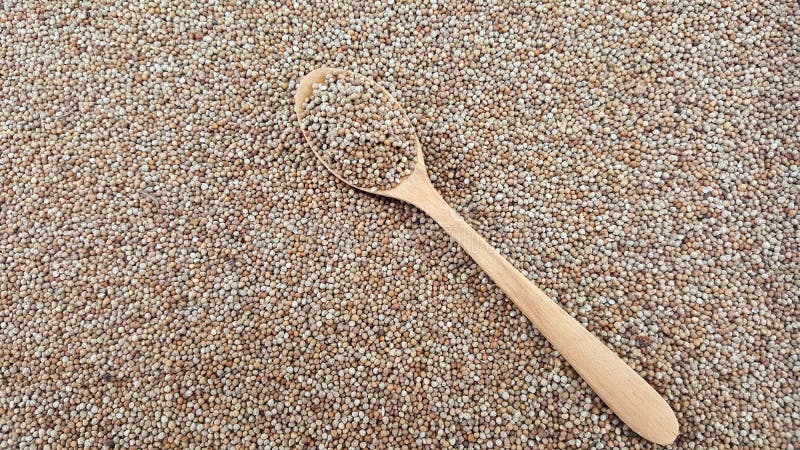 Perilla Seed (Shiso Seed) in Close Up View with Wooden Spoon Stock ...