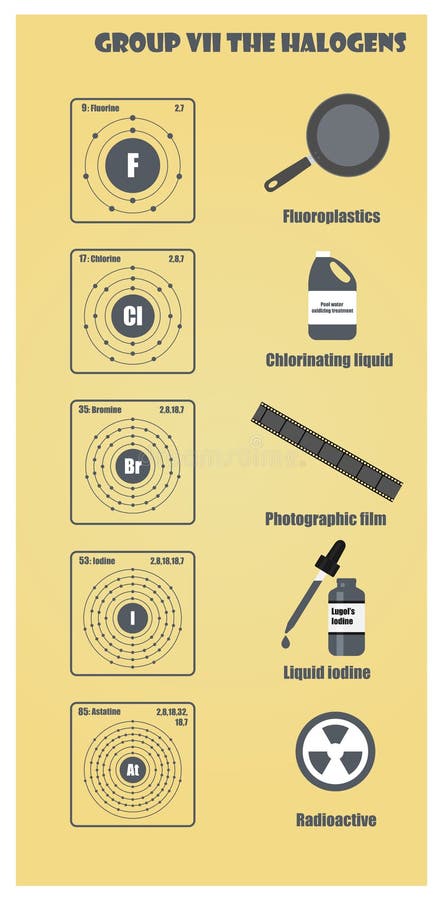 Periodensystem Der Elementgruppe VII Die Halogene Stock Abbildung ...