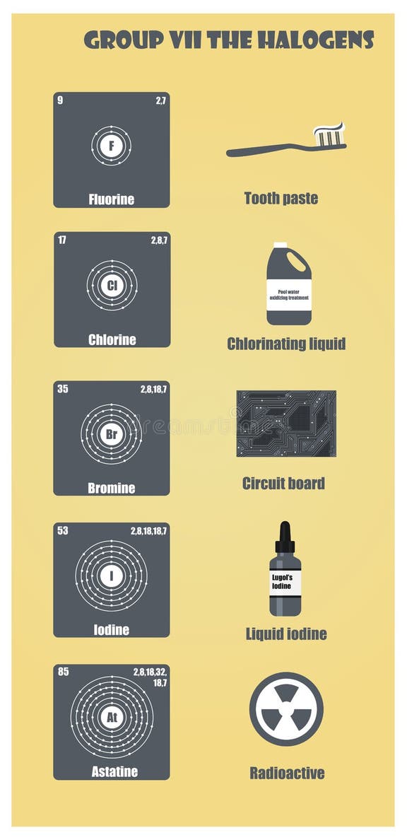 Periodic Table of Element Group VII the Halogens Stock Vector ...