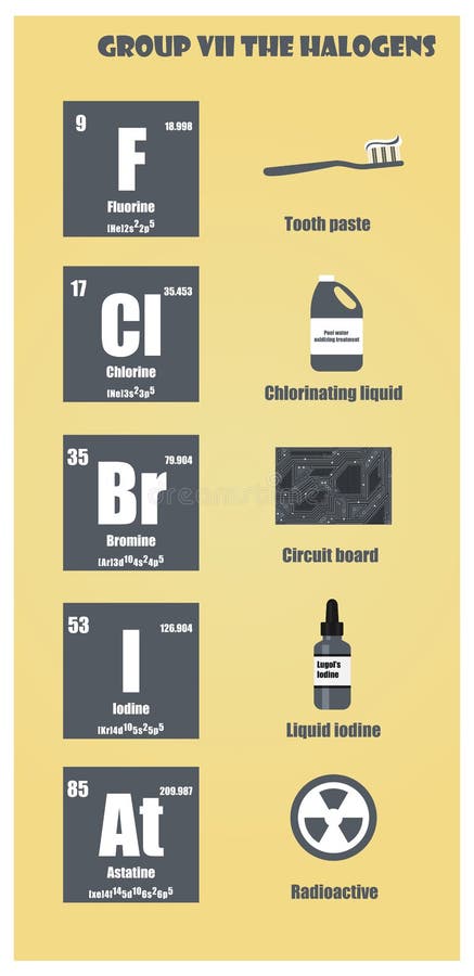 Periodic Table of Element Group VII the Halogens Stock Illustration ...