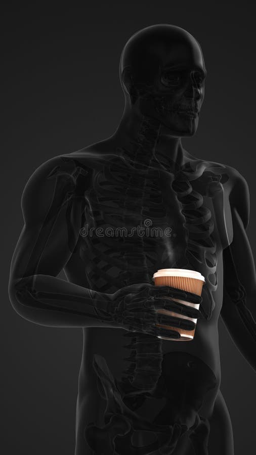 Peripheral Sensory Network To Brain for Tactile Perception Stock ...