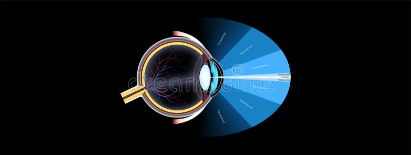 Peripheral vision poster stock vector. Illustration of view - 305929017