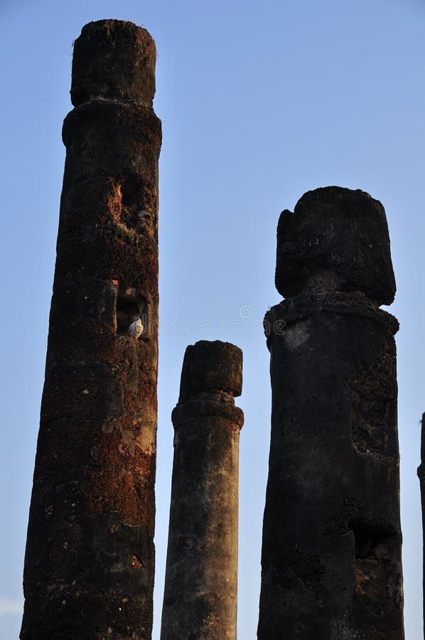 Peristele stock photo. Image of building, pigeons, architectural - 12409618