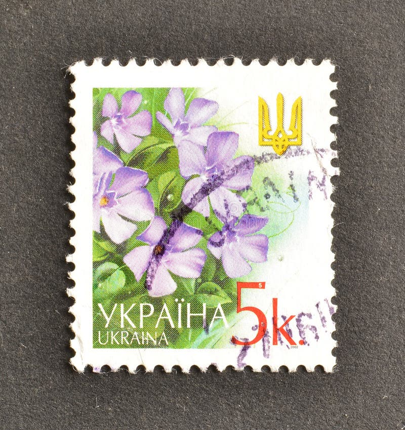 Periwinkle flower editorial photography. Image of postage - 261777357