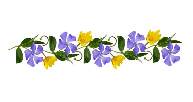 Round Frame with Bindweed Flowers Stock Image - Image of flowers ...