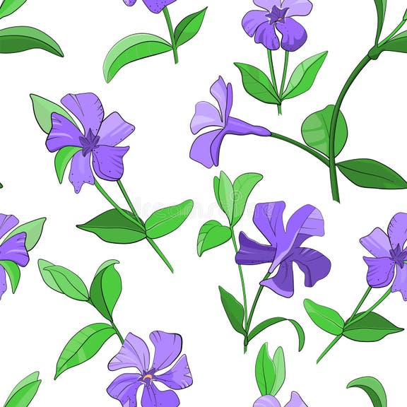 Periwinkle Flowers in Seamless Pattern Stock Vector - Illustration of ...