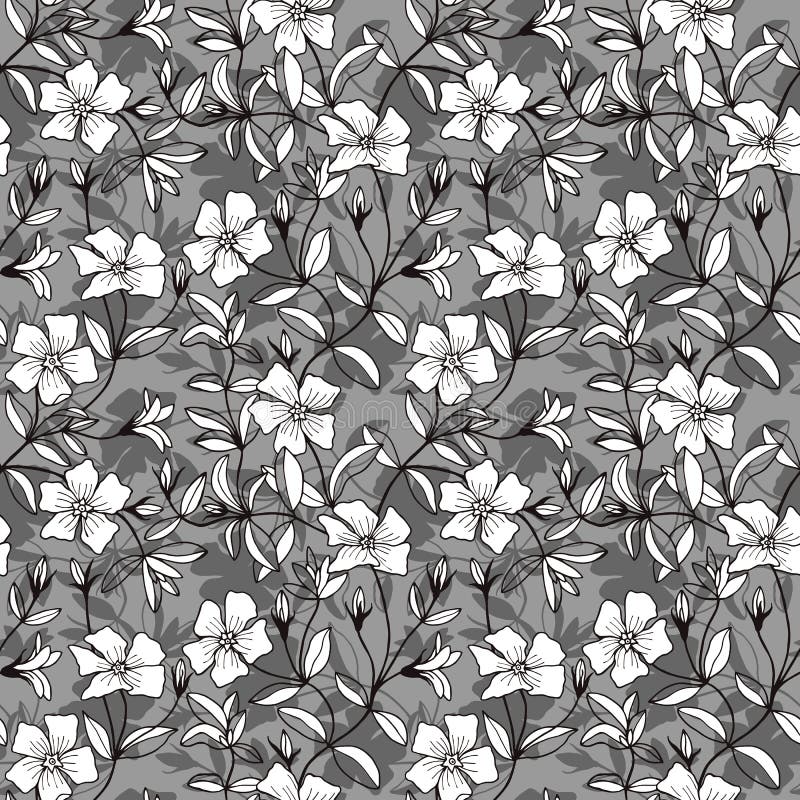 Periwinkle Flowers Seamless Pattern. Vector Stock Illustration Eps10 ...