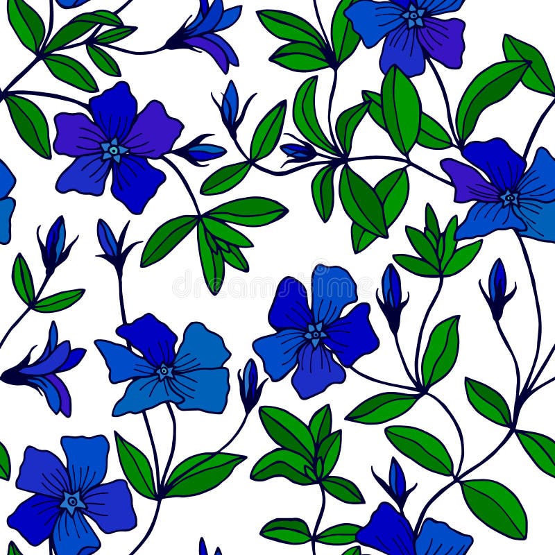 Periwinkle Flowers Seamless Pattern. Vector Stock Illustration Eps10 ...