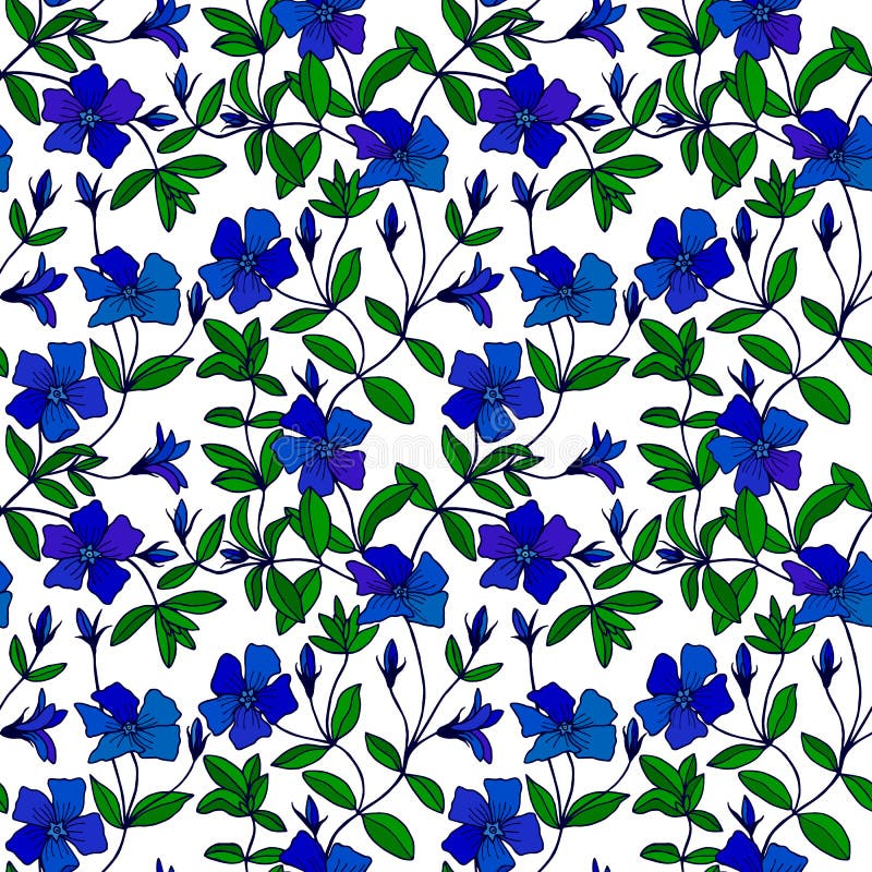 Periwinkle Flowers Seamless Pattern. Vector Stock Illustration Eps10 ...