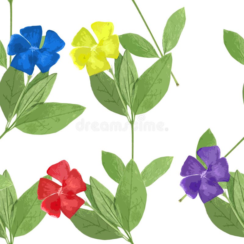 Periwinkle. Seamless Pattern Texture of Flowers. Floral Backgrou Stock ...