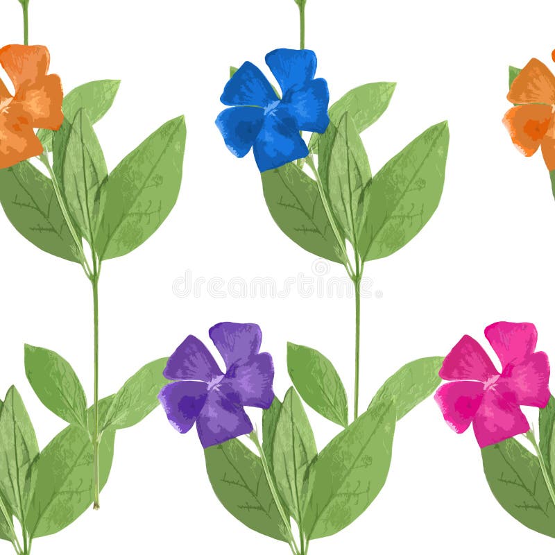 Periwinkle. Seamless Pattern Texture of Flowers. Floral Backgrou Stock ...