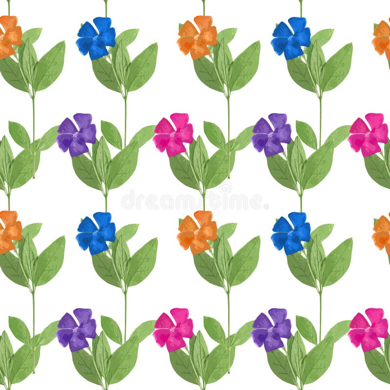 Periwinkle. Seamless Pattern Texture of Pressed Dry Flowers. Stock ...