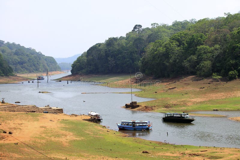 Periyar Lake, Kerala, India Stock Photo - Image of jungle, western ...
