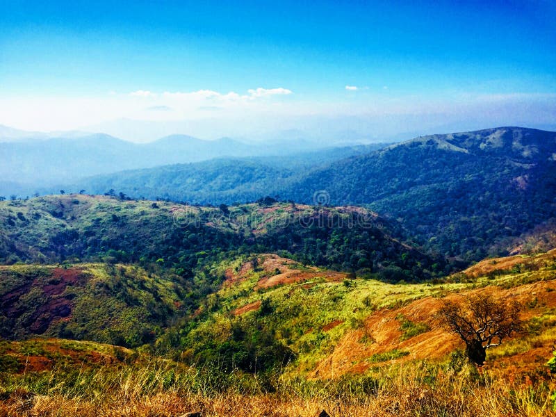Periyar Reserve Forest, Thekkady Kerala Stock Photo - Image of national ...