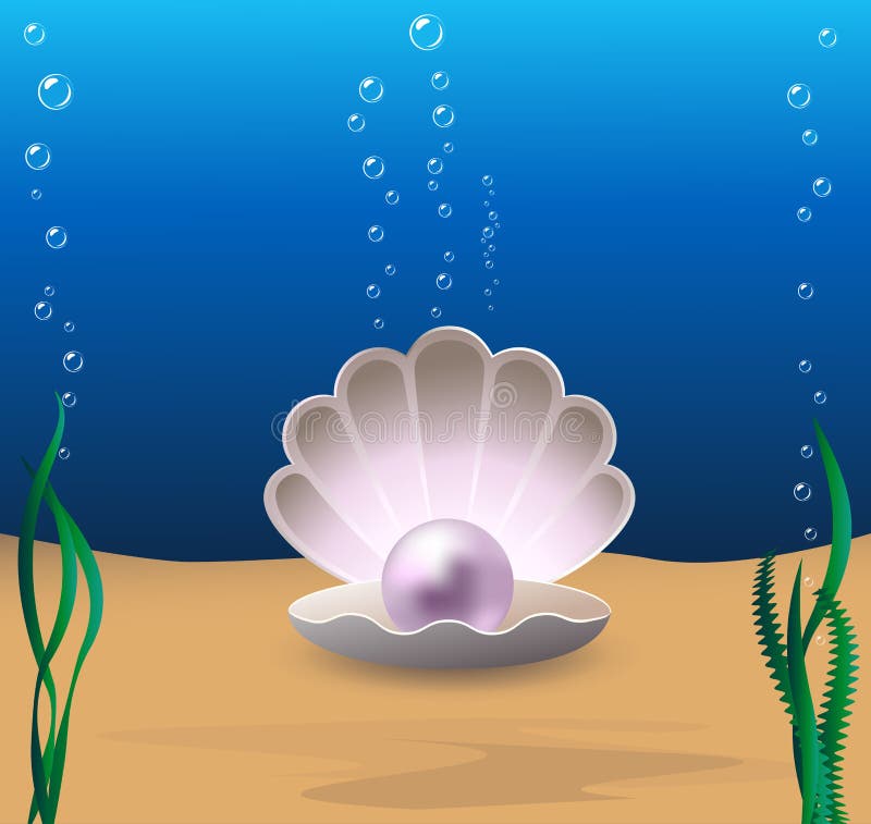 Perl stock vector. Illustration of treasure, nature, seaweed - 92735225