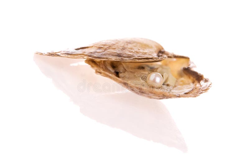 Perla de la ostra foto de archivo. Imagen de adentro, cierre - 2892878