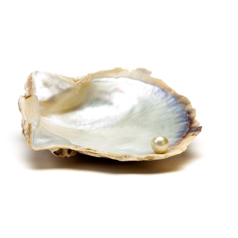 Perla de la ostra n imagen de archivo. Imagen de perla - 15581675