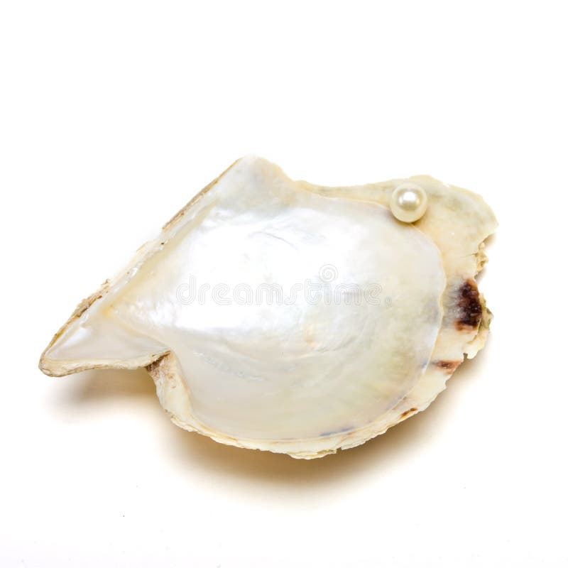 Perla de la ostra n imagen de archivo. Imagen de costoso - 15581721