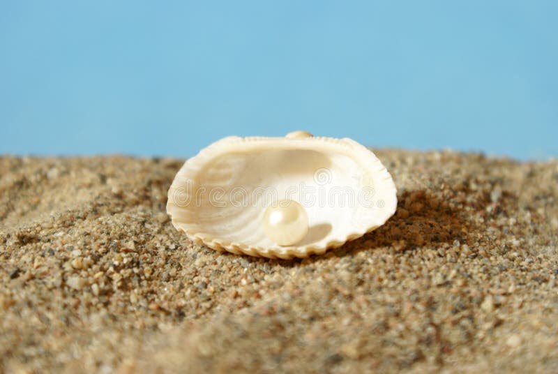 Perla del océano imagen de archivo. Imagen de manera - 31987645