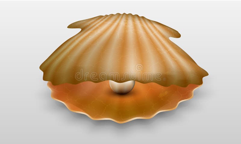 Perla del vector en shell ilustración del vector. Ilustración de escena ...