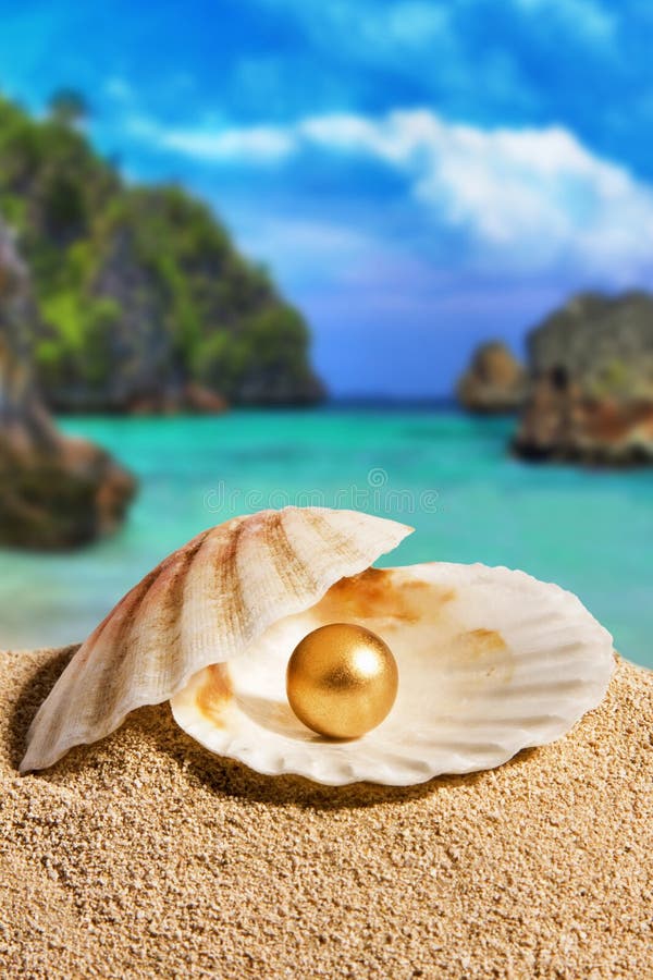 Perla dorata fotografia stock. Immagine di sabbia, filippine - 17966674