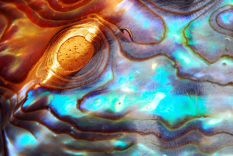 Perla dorata immagine stock. Immagine di modello, lucido - 4236533