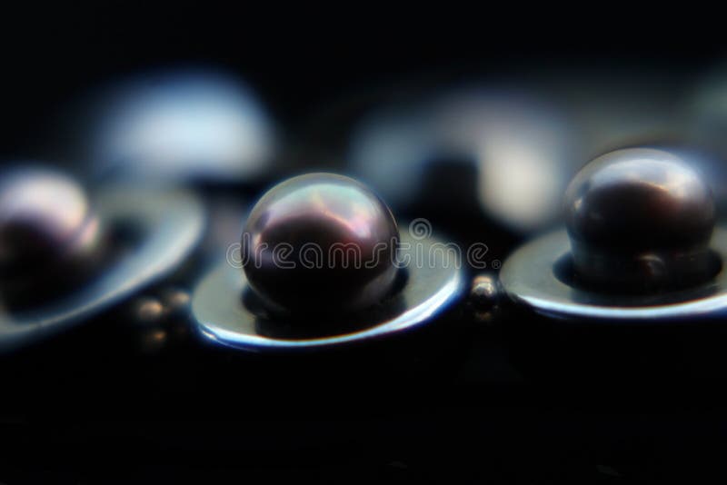 Shell Con Las Perlas Negras Foto de archivo - Imagen de arena, vivir ...