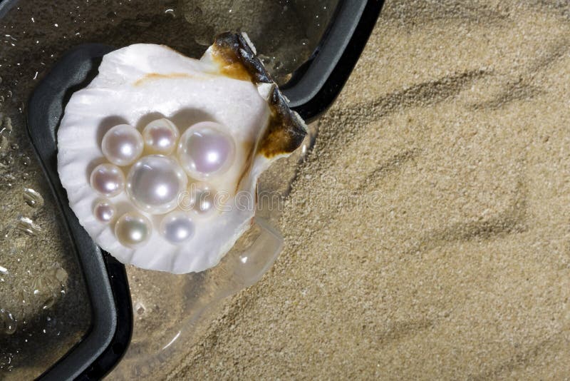 Perlas en el shell imagen de archivo. Imagen de canto - 12918653