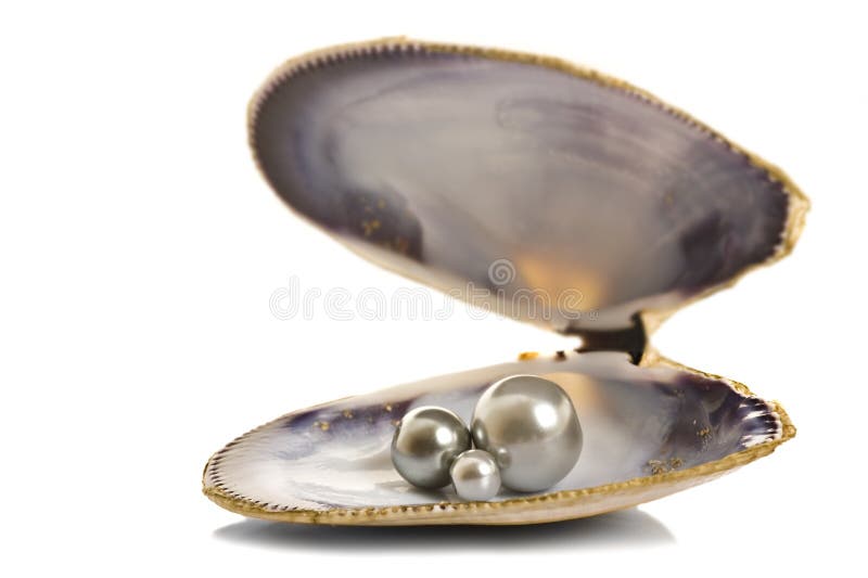 Perlas Hermosas En Un Seashell Foto de archivo - Imagen de joya, arena ...