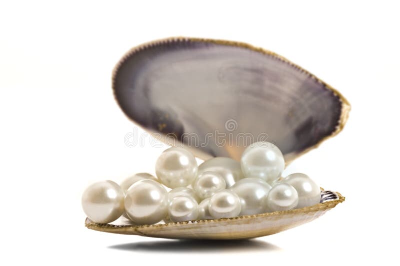 Perlas Hermosas En Un Seashell Imagen de archivo - Imagen de gema ...