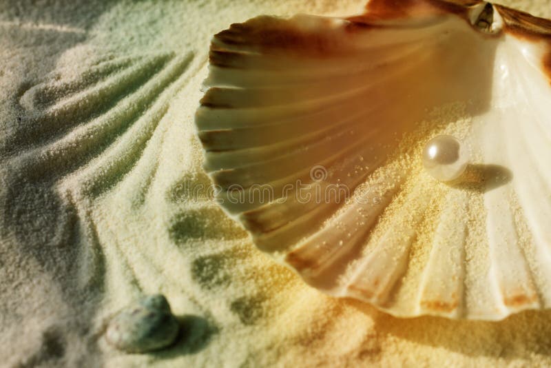 Perle dans le coquillage photo stock. Image du lagune - 30816164