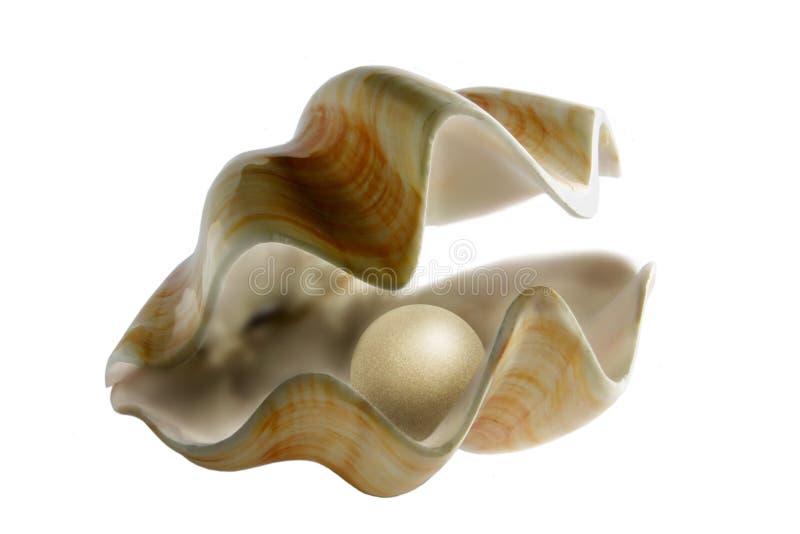 Perle in der Muschel stockbild. Bild von hinaufklettern - 40855479