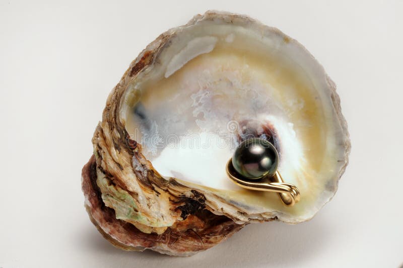 Perle noire de mer du sud image stock. Image du noir - 10866489
