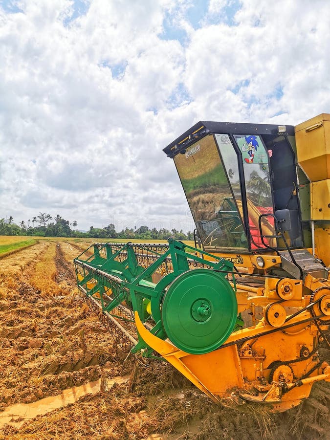 PERLIS, Malaysia-February 26, 2025: Paddy Rice Machine on Paddy Field ...