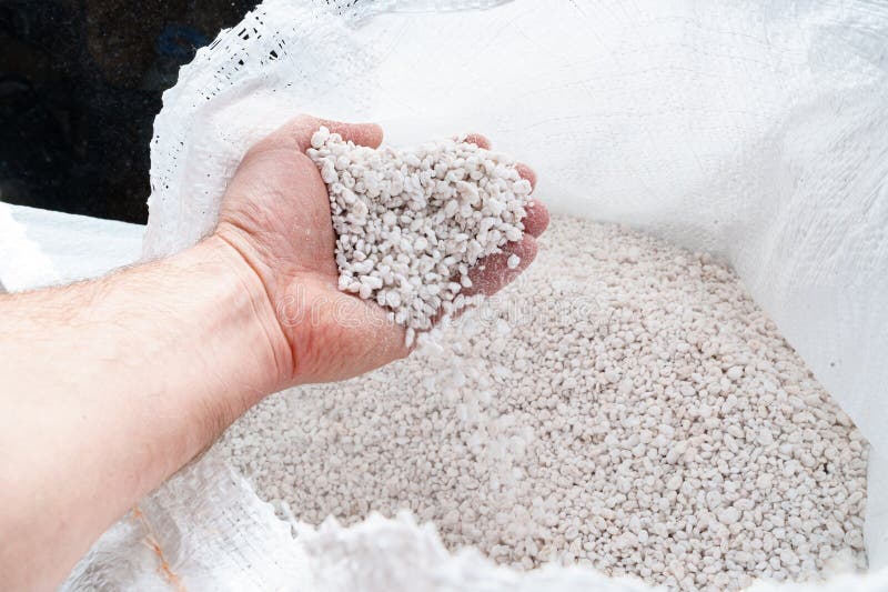 199 Perlite Plants Stock Photos - Free & Royalty-Free Stock Photos from ... 199 Perlite Plants Stock Photos - Free & Royalty-Free Stock Photos from ...