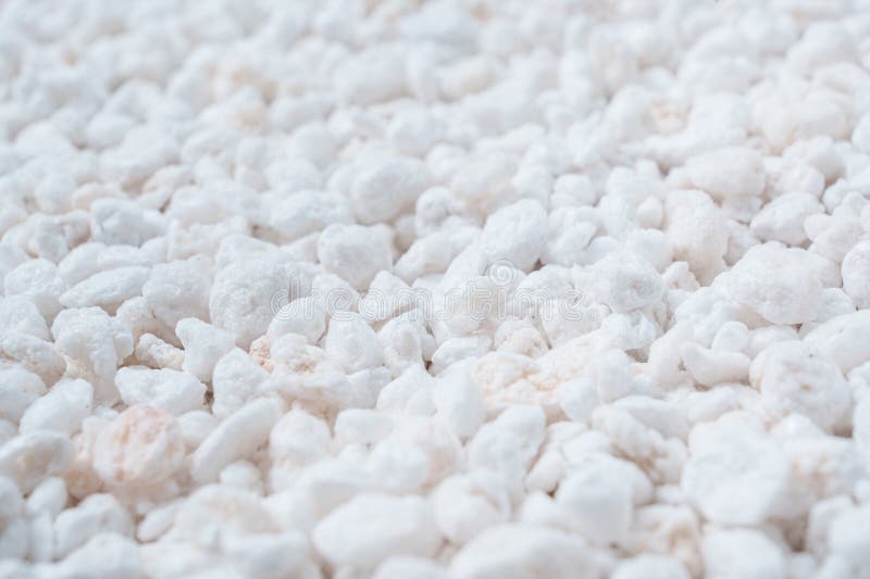 199 Perlite Plants Stock Photos - Free & Royalty-Free Stock Photos from ... 199 Perlite Plants Stock Photos - Free & Royalty-Free Stock Photos from ...