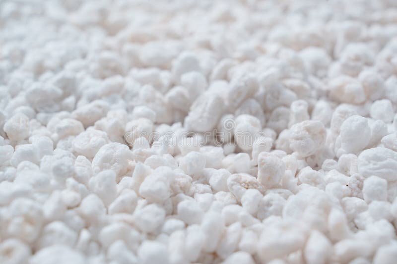 Perlite for Plants. Neutral Material of Volcanic Origin Stock Image ...