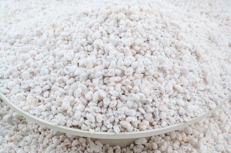 199 Perlite Plants Stock Photos - Free & Royalty-Free Stock Photos from ... 199 Perlite Plants Stock Photos - Free & Royalty-Free Stock Photos from ...