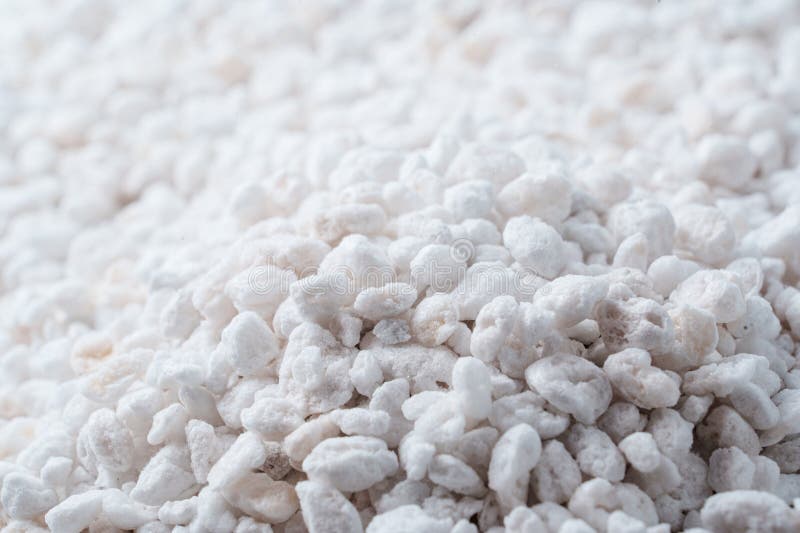 Perlite for Plants. Neutral Material of Volcanic Origin Stock Photo ...