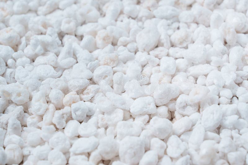Perlite for Plants. Neutral Material of Volcanic Origin Stock Photo ...
