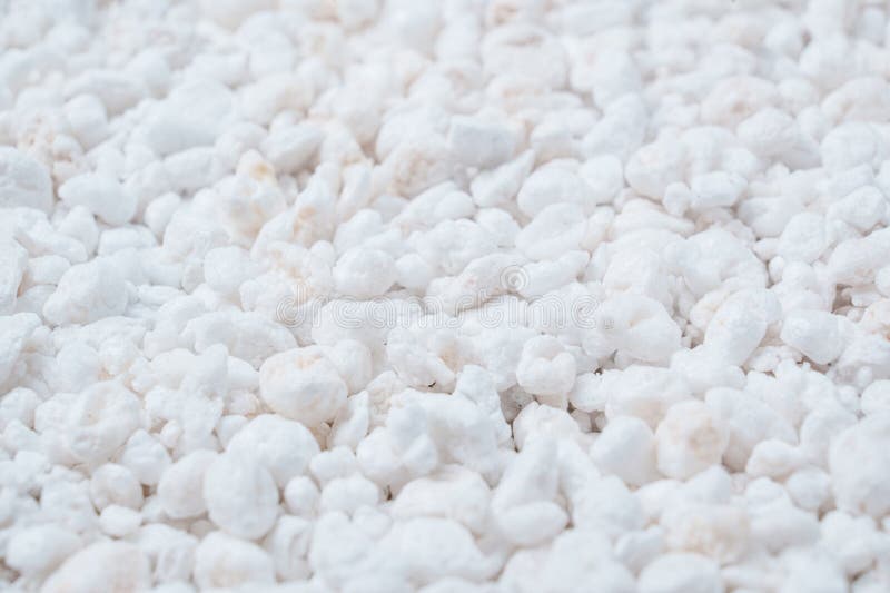 Perlite for Plants. Neutral Material of Volcanic Origin Stock Photo ...